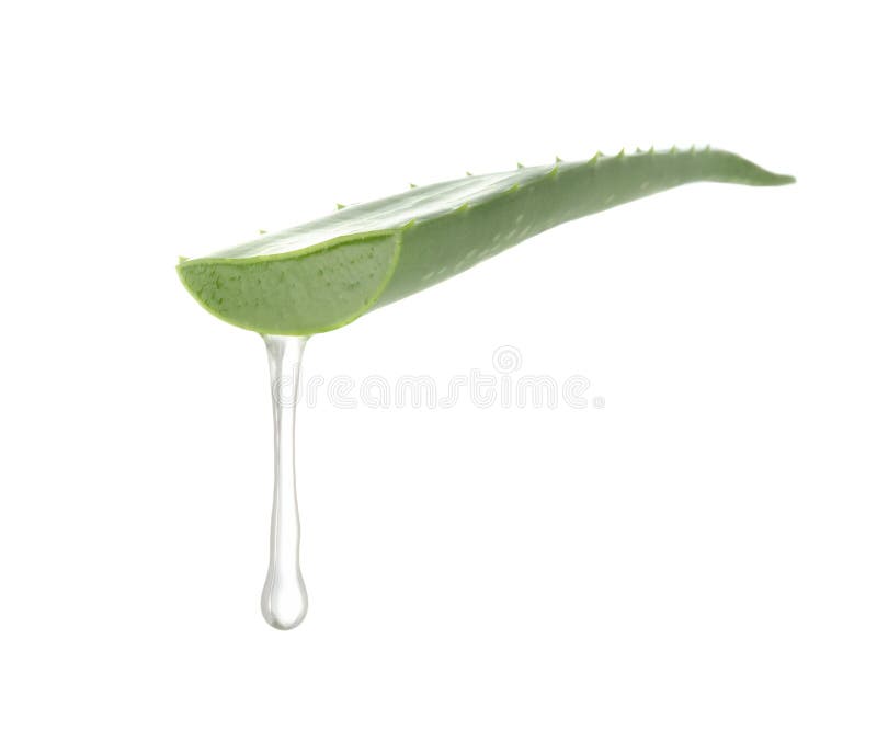 Aloe Vera Gel Dripping from Aloe Vera Isolated on White Background ...