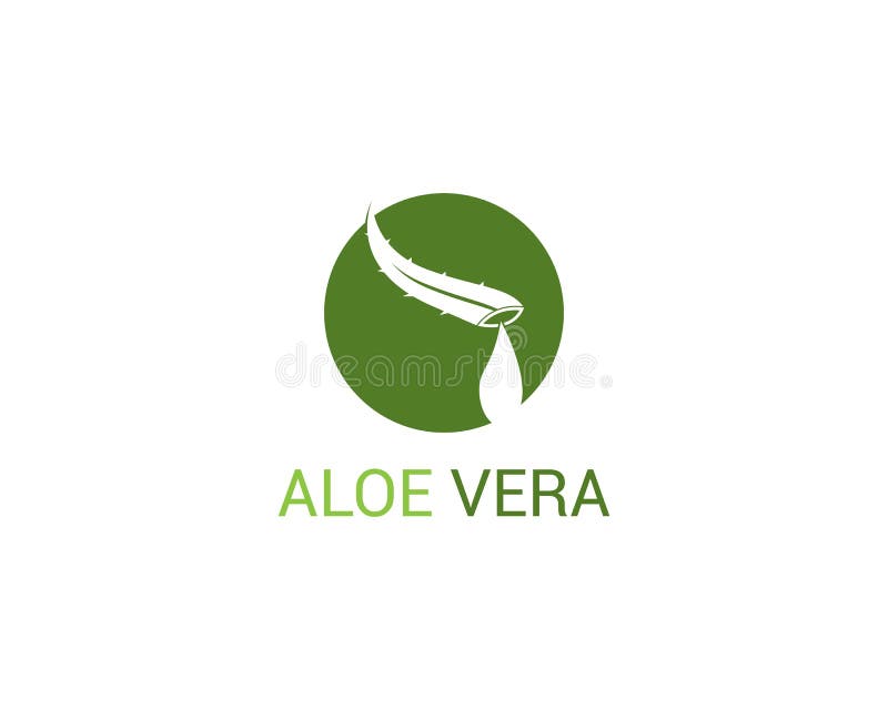 Aloe Vera Icon Logo Template Stock Vector - Illustration of nutrition ...
