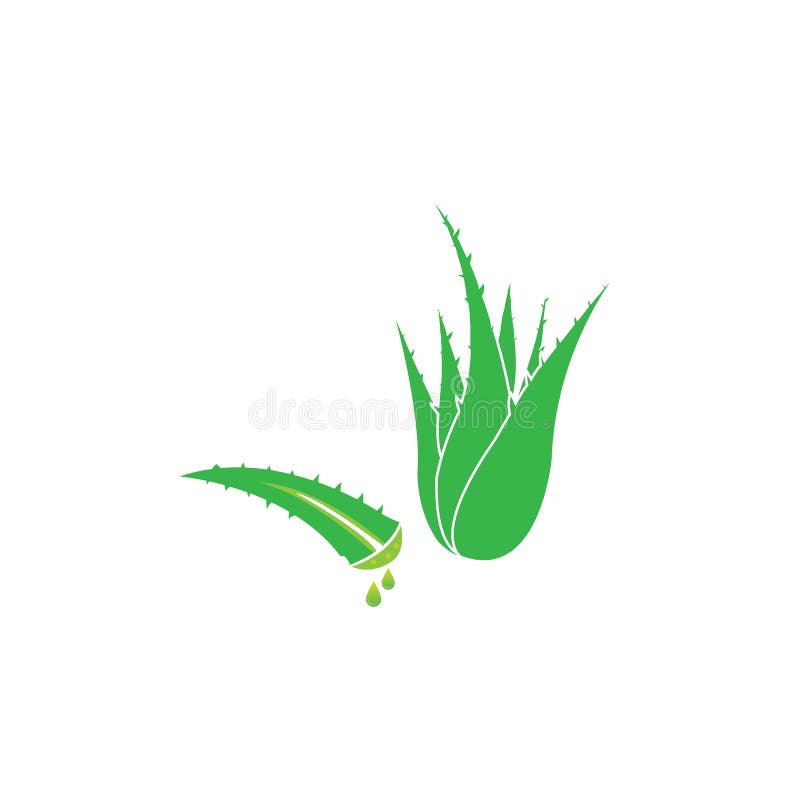 Aloe vera icon logo vector stock vector. Illustration of organic ...