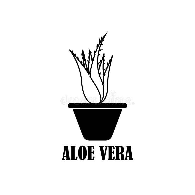 Aloe vera icon logo vector stock illustration. Illustration of herb ...