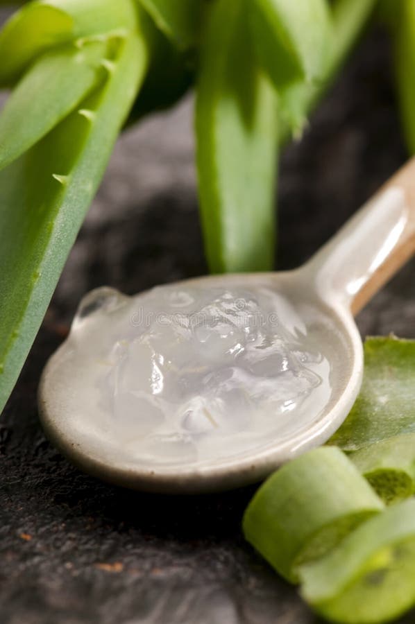 Aloe Vera Juice With Fresh Leaves Stock Photo - Image of care, syrup ...