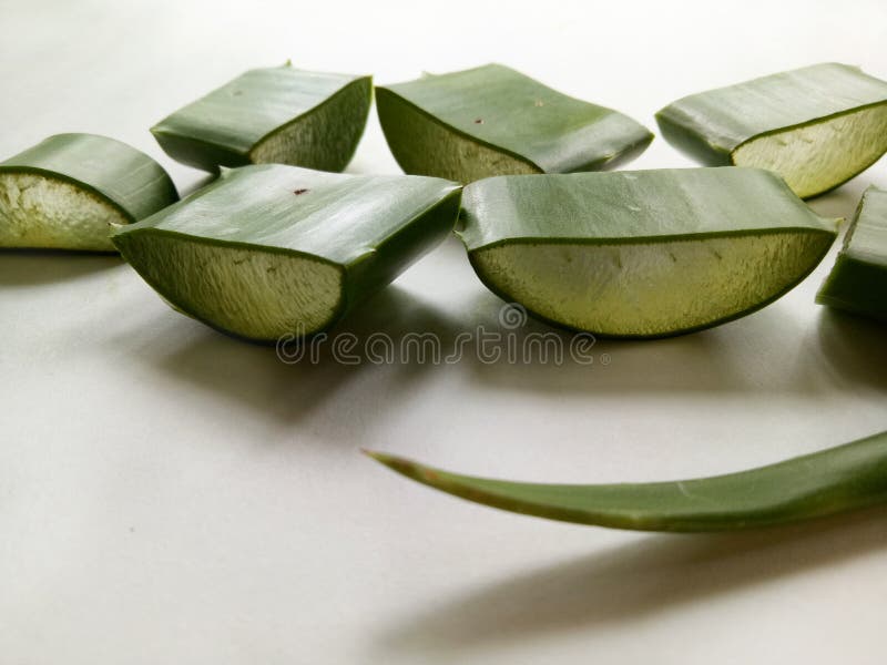 Aloe Vera leaf slice stock photo. Image of leaf, korphad - 98914168