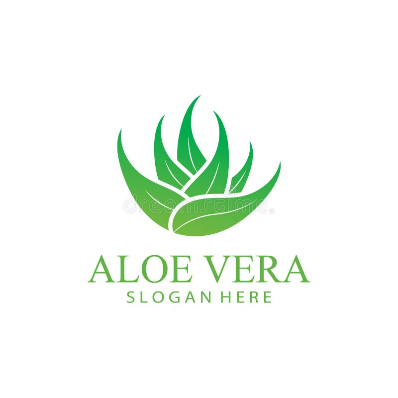 Aloe Vera Logo Design Vector Illustration Template Stock Vector ...