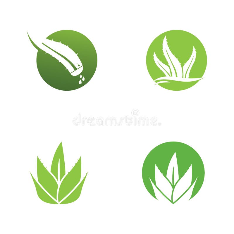 Aloe Vera Logo Design Vector Illustration Template Stock Vector ...