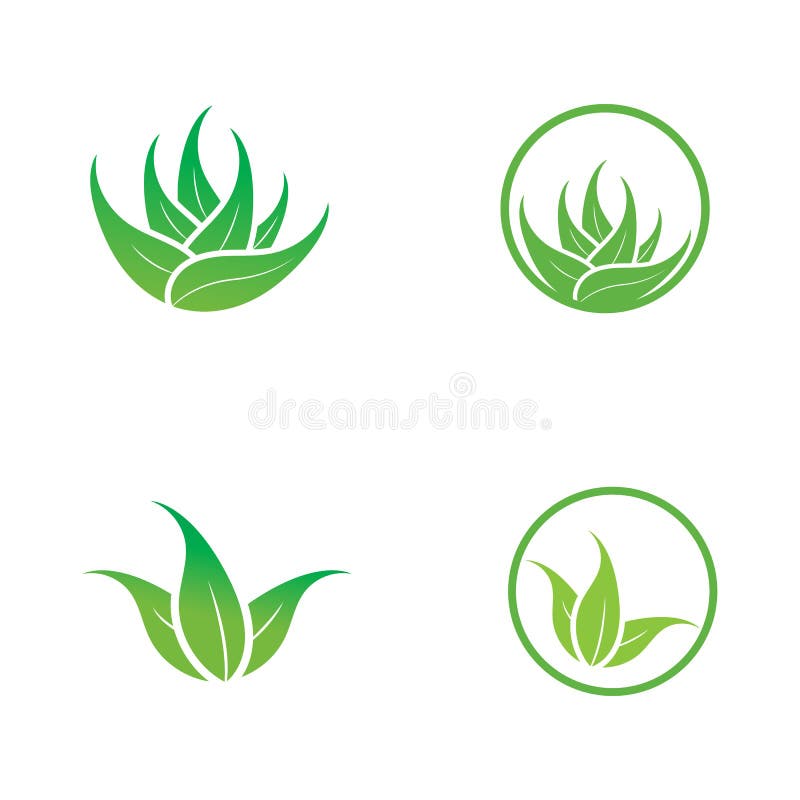 Aloe Vera Logo Design Vector Illustration Template Stock Vector