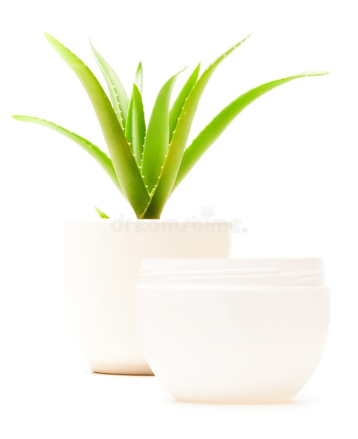 Aloe Vera Moisturizer stock photo. Image of white, plant - 94262710