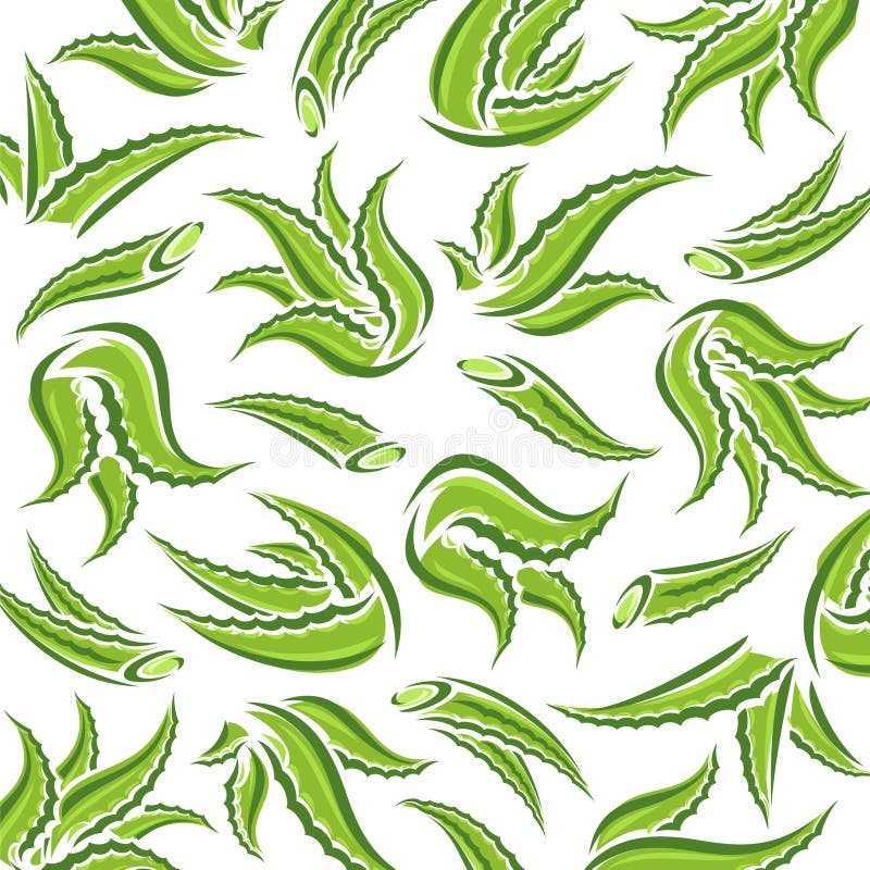 Aloe Vera Pattern Background Set. Isolated Aloe Vera Set Stock Vector ...