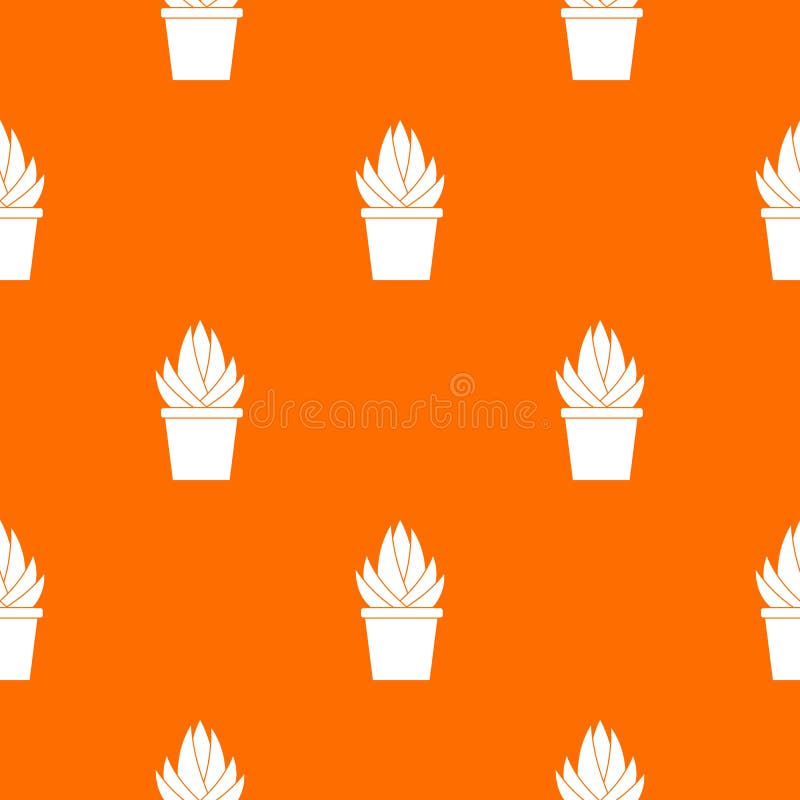 Aloe Vera Plant Pattern Seamless Stock Vector Illustration Of Decoration Desert 102721070