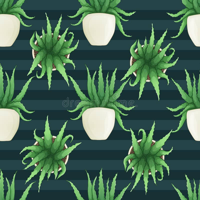 Aloe Vera Hand Drawn Vector Seamless Pattern. Stock Vector ... Aloe Vera Hand Drawn Vector Seamless Pattern. Stock Vector ...