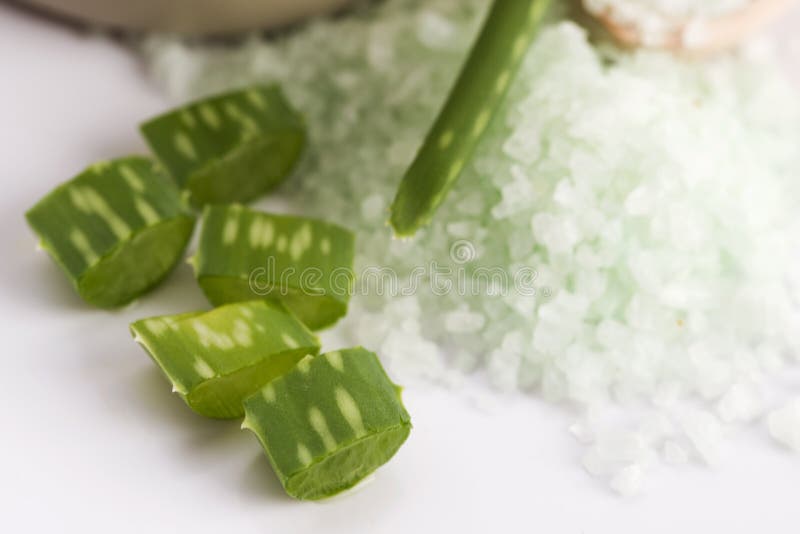 Aloe vera and sea salt stock photo. Image of natural - 53256942