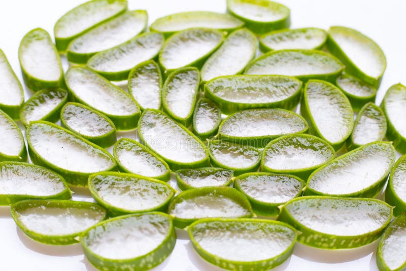 Aloe vera slices on white stock image. Image of agave - 137975789