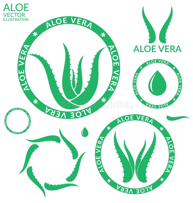 Aloe Vera stock vector. Illustration of herbal, sign - 51578329