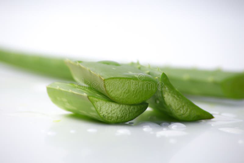 Aloe Vera Vers Blad Geïsoleerd Op Witte Achtergrond Stock Afbeelding ...