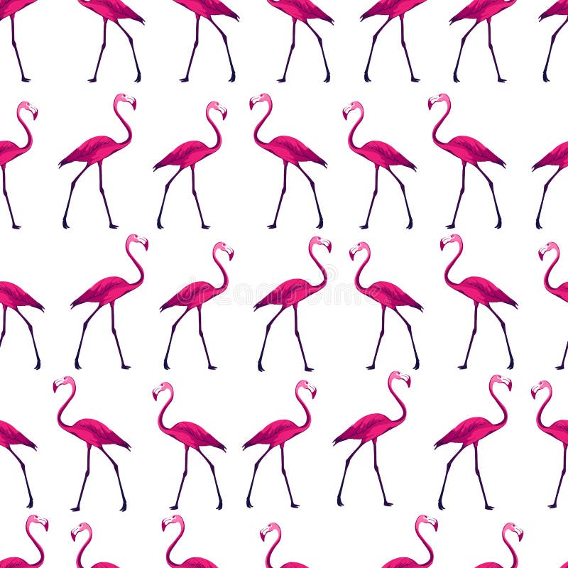 Aloha Configuration Sans Joint Hawaïenne Illustration de Vecteur ...