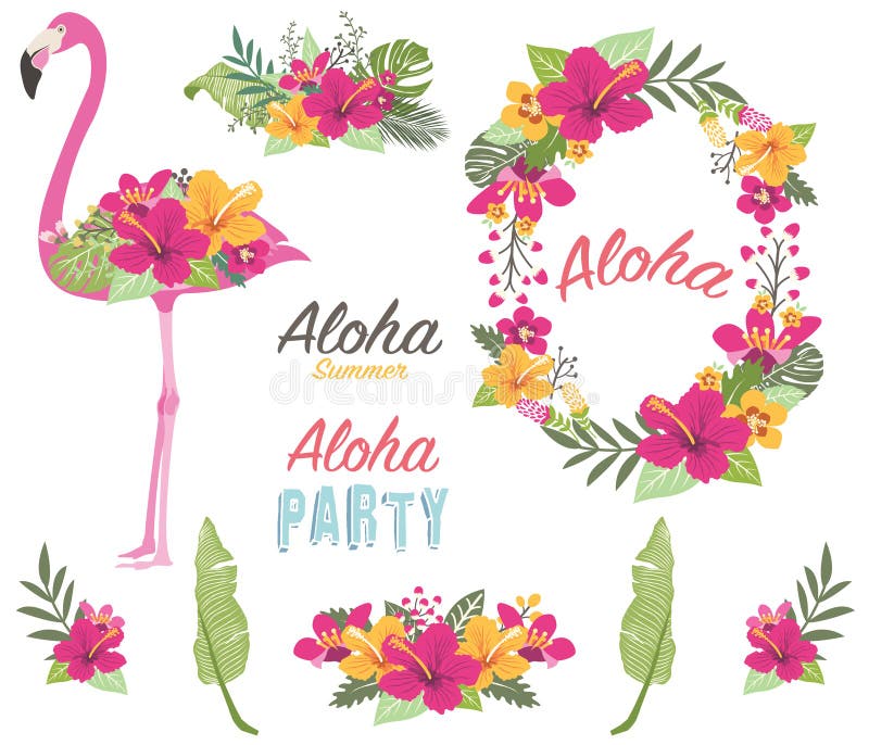 Aloha Flower Flamingo Collections Ilustración del Vector - Ilustración ...