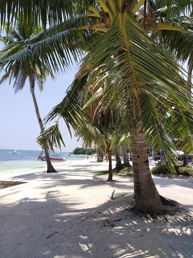 Alona Beach in Panglao Island Bohol Stock Image - Image of island ...