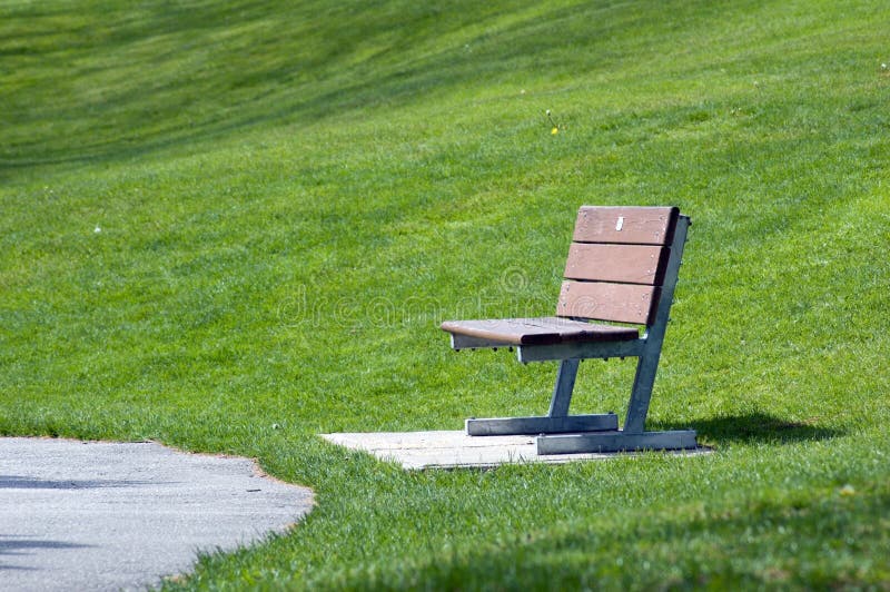 Alone Bench in the Green Yard Stock Photo - Image of grass, idyllic ...