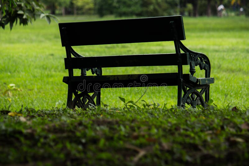 Alone Bench in the Green Yard Stock Photo - Image of grass, idyllic ...