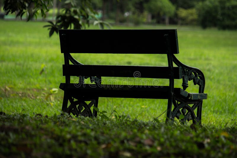 Alone Bench in the Green Yard Stock Photo - Image of grass, idyllic ...