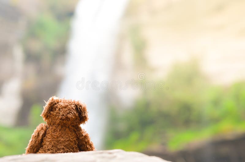 Alone Brown Bear on Waterfall. Stock Image - Image of grizzly, rock ...