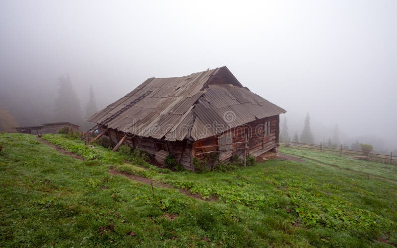 Alone cabin in the woods stock photo. Image of summer - 62116572