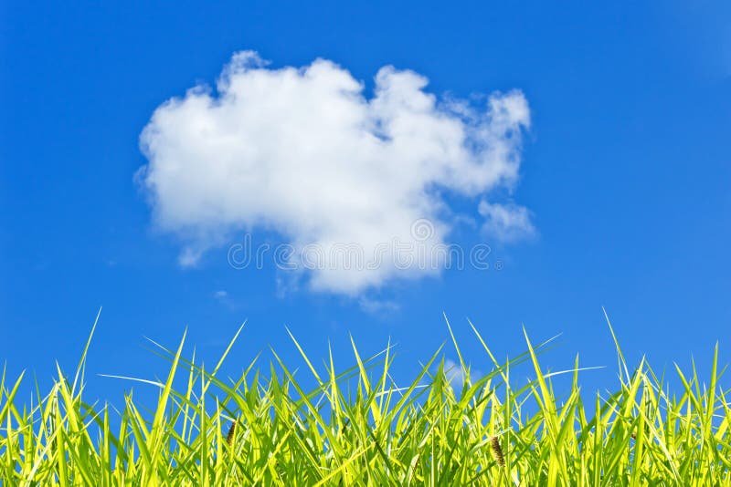 Alone Cloud stock image. Image of background, blue, freedom - 24860257