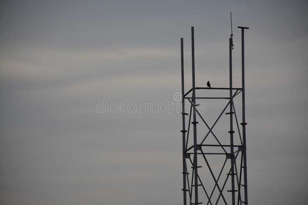 Alone stock photo. Image of life, tower, standing, alone - 129455662
