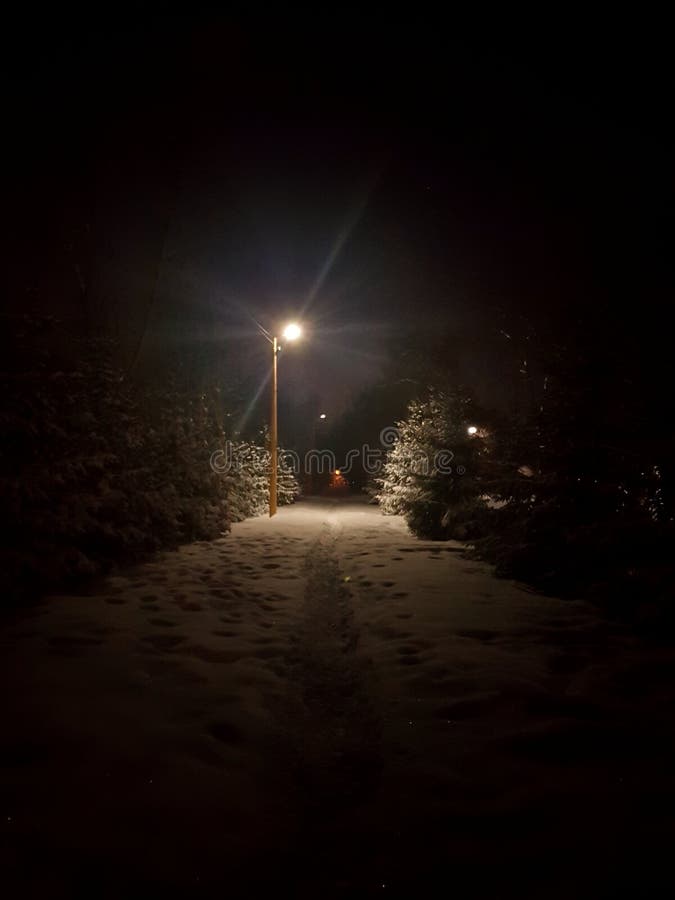 Alone in the dark stock image. Image of cold, alone - 137578927