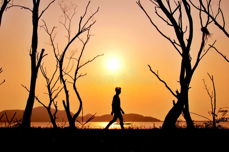 Alone stock photo. Image of walk, silhouette, alone, sunset - 57670098