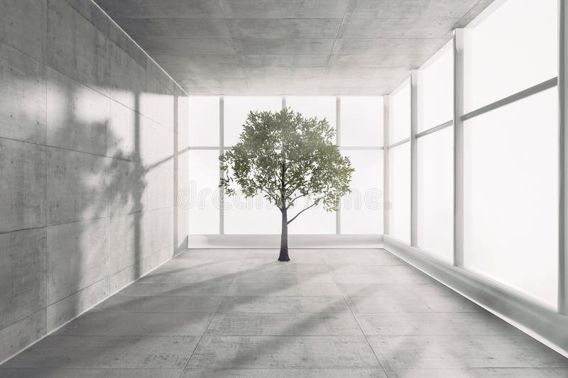 Alone Green Tree in Empty Office Room. 3d Rendering Stock Illustration ...