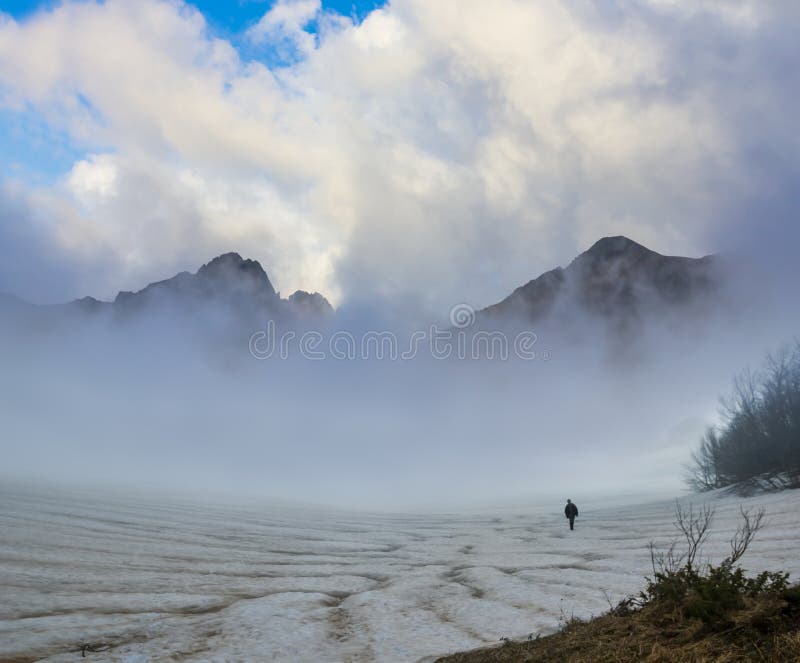 Walking in the mist stock photo. Image of silhouette, walking - 1392452