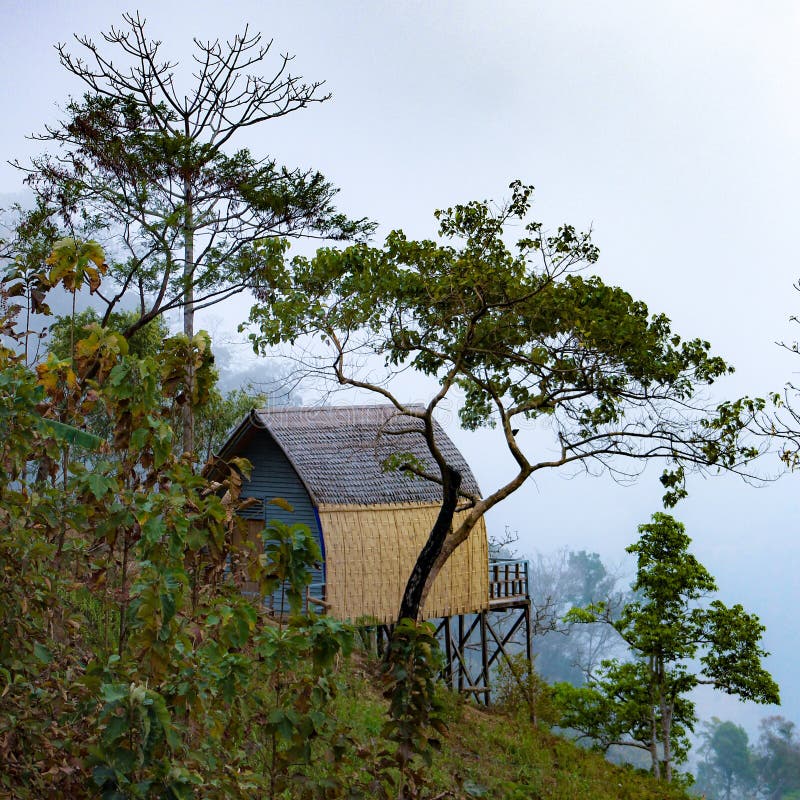 Alone house in forest stock image. Image of mountain - 311525201