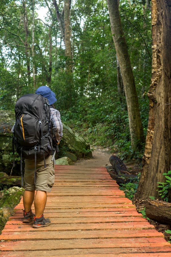 Alone Man Hikes on the Trail Stock Photo - Image of adventure, backpack ...