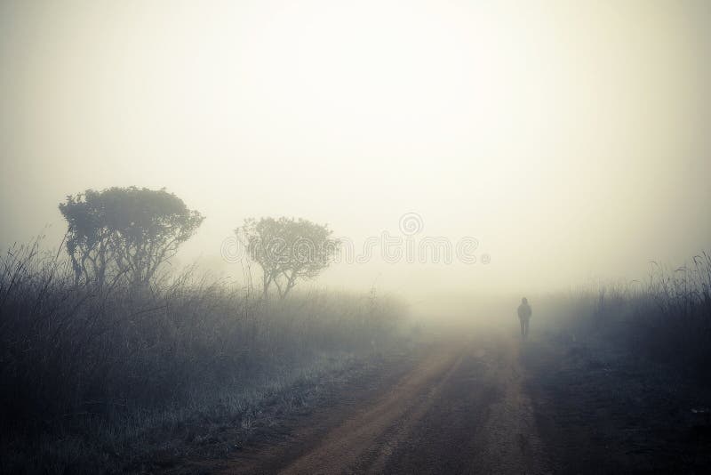 Alone Man Walking in the Fog Stock Photo - Image of aged, retro: 31667232