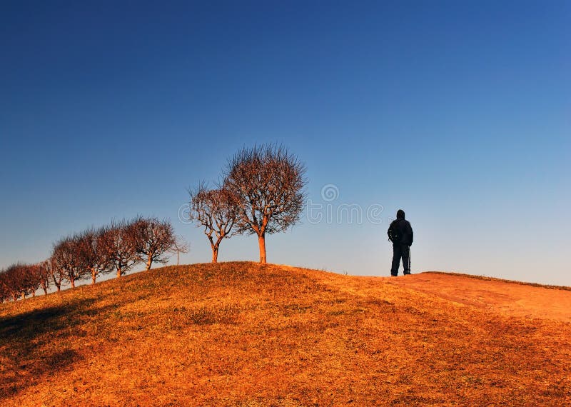 Alone with Nature stock photo. Image of hill, blue, eternity - 9273794