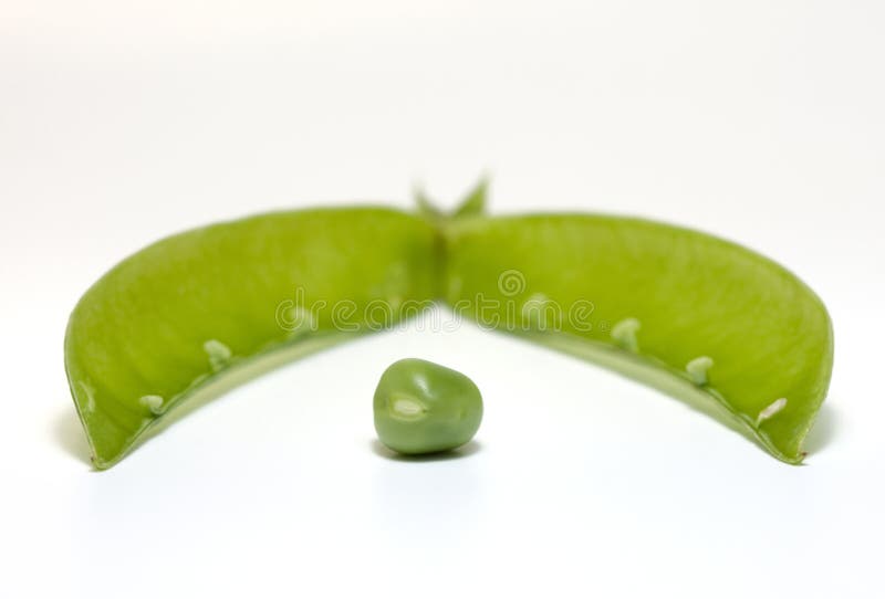 Pea pod stock image. Image of legumens, detail, life - 11008259
