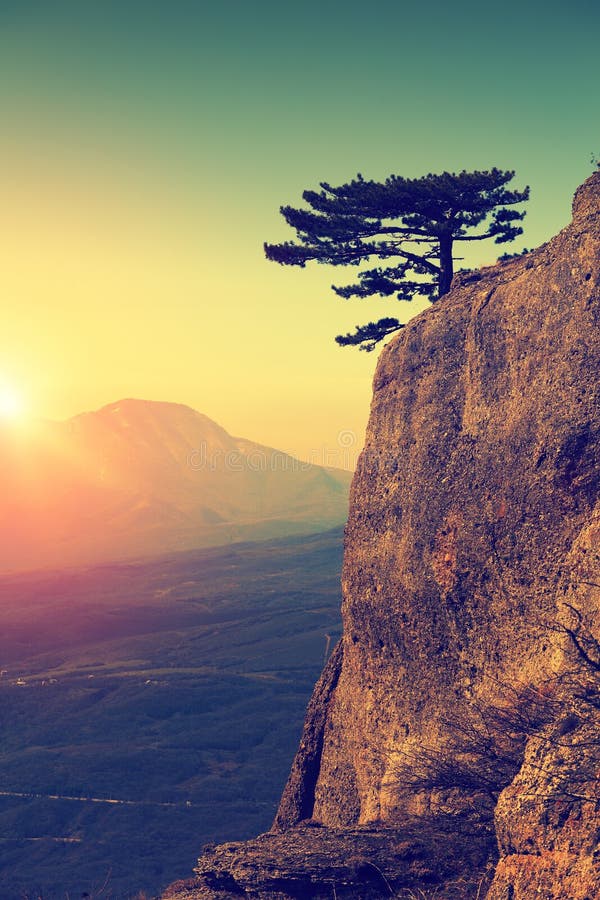 Sunrise on rocky sea coast stock photo. Image of edge - 18878584