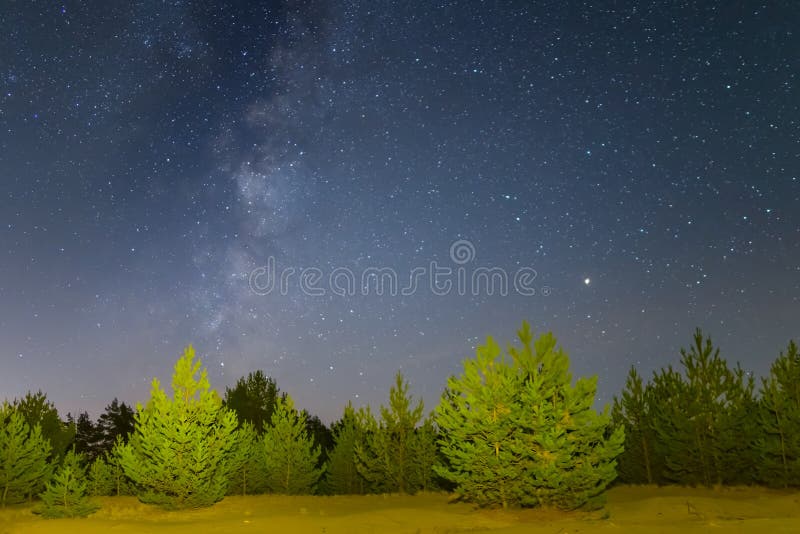 Alone Pine Tree among Sandy Prairie Under a Starry Sky Stock Image ...