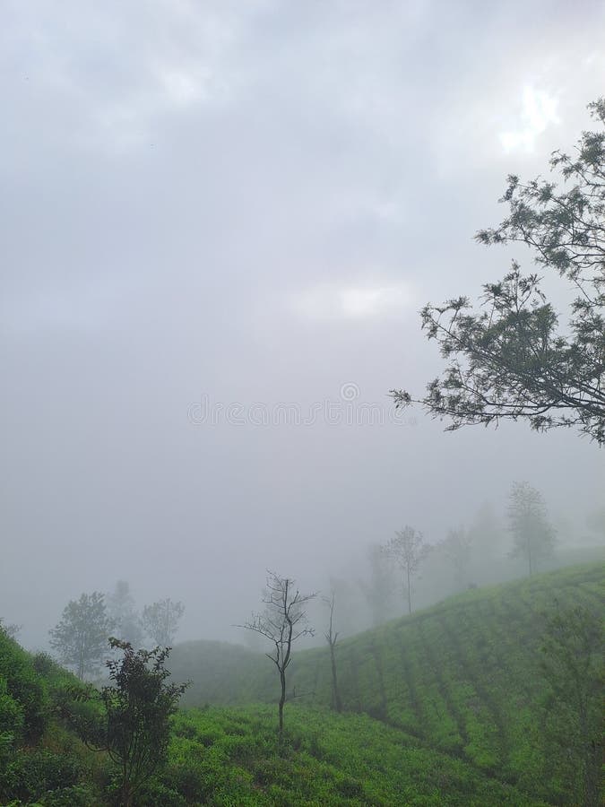 Alone in Silence on the Hill Stock Photo - Image of hill, silence ...