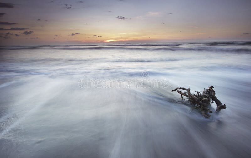 Alone stock photo. Image of sunset, simple, alone, landscape - 89920204