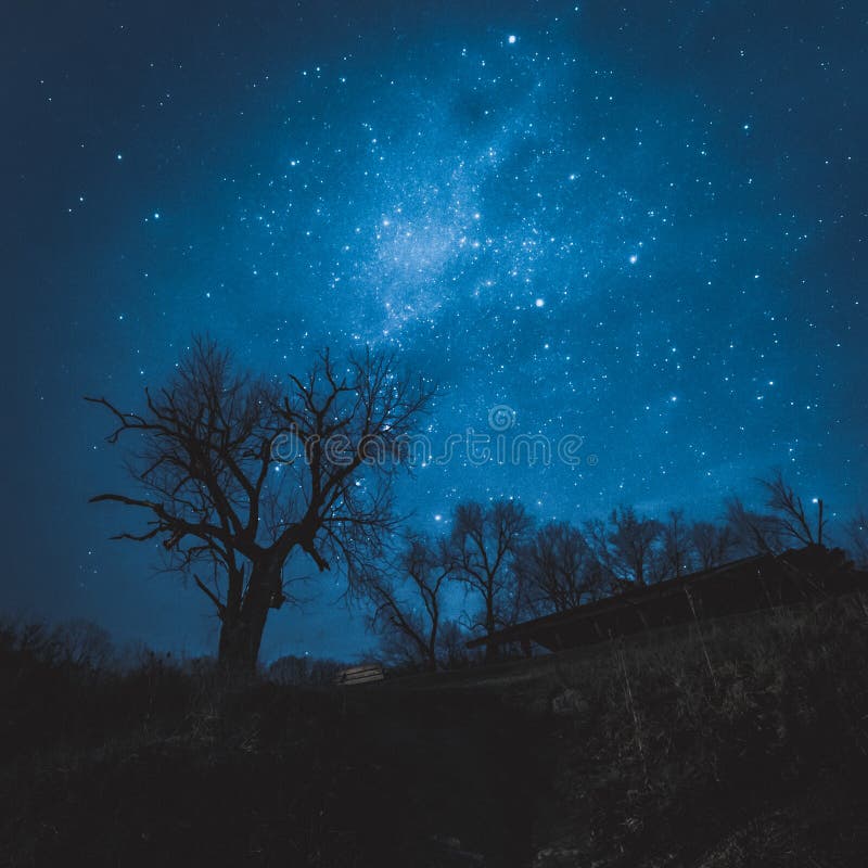 Alone Tree in the Night Under the Stars Stock Image - Image of night ...