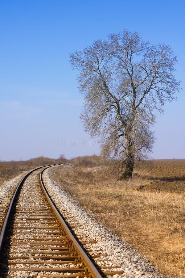 Alone tree by the railway stock image. Image of rail - 23715199