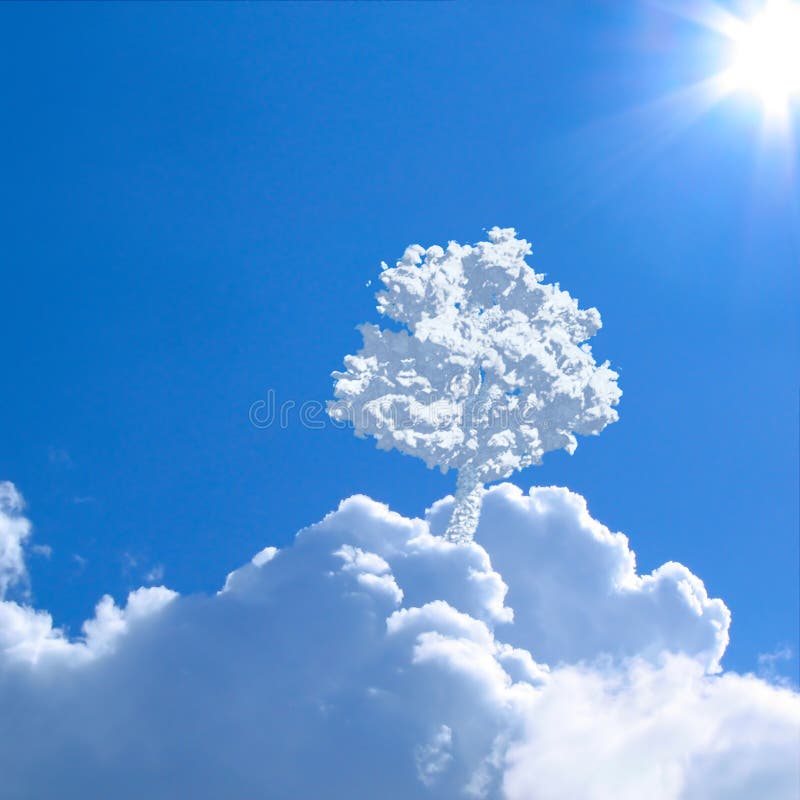 Alone tree in sky. stock image. Image of white, abstract - 10102619