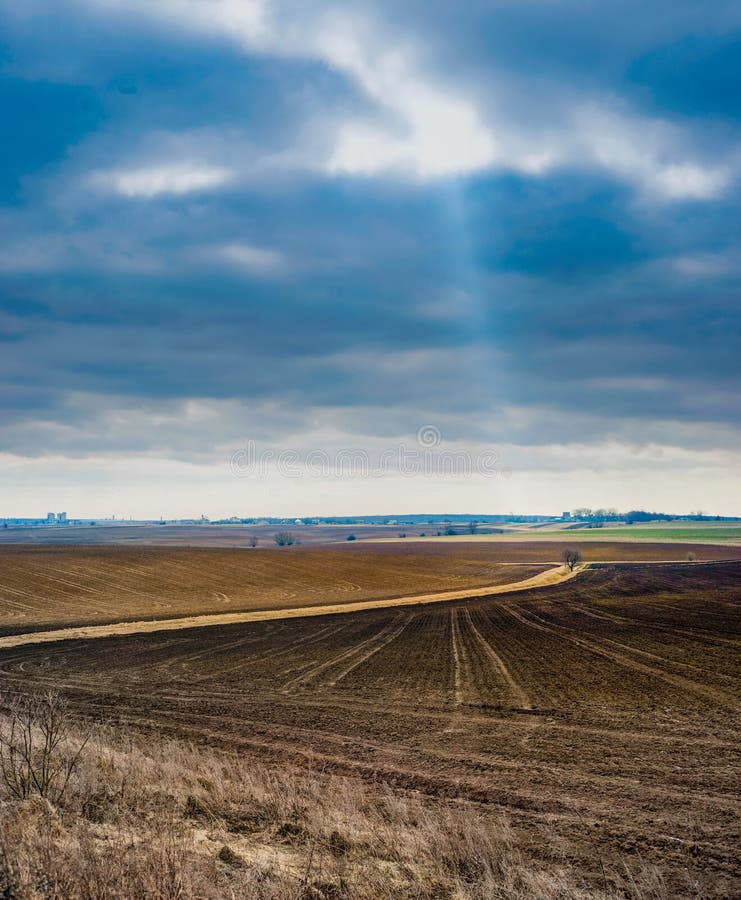 Alone Tree with Sun Rays, between Clouds at Agricultural Farming Land ...