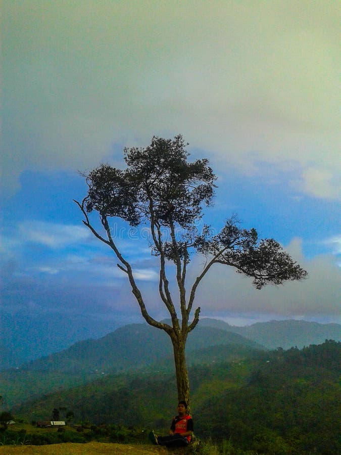 Alone Under a Tree, Located in the Mountains of Central Papua ...