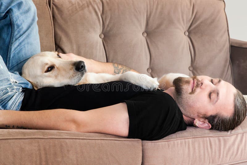 Young Man Napping on Sofa with Dog Stock Photo - Image of divided ...