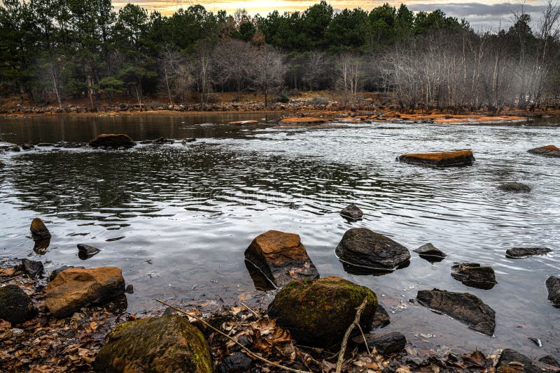 Along the Banks of the Neuse River Stock Image - Image of nature ...