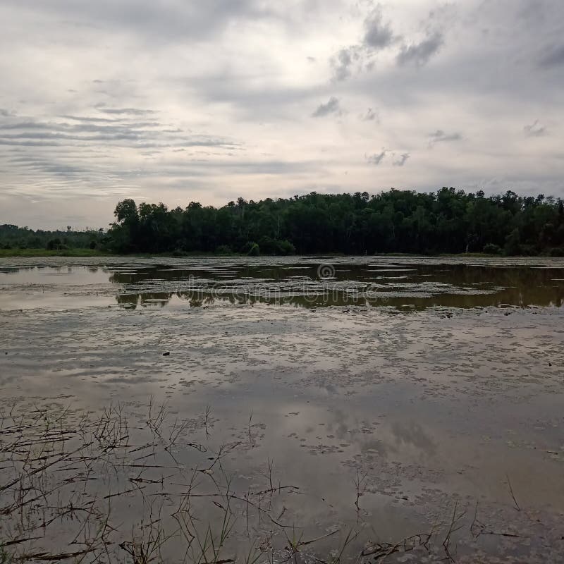 Cloudy at the river stock image. Image of water, java - 167791423