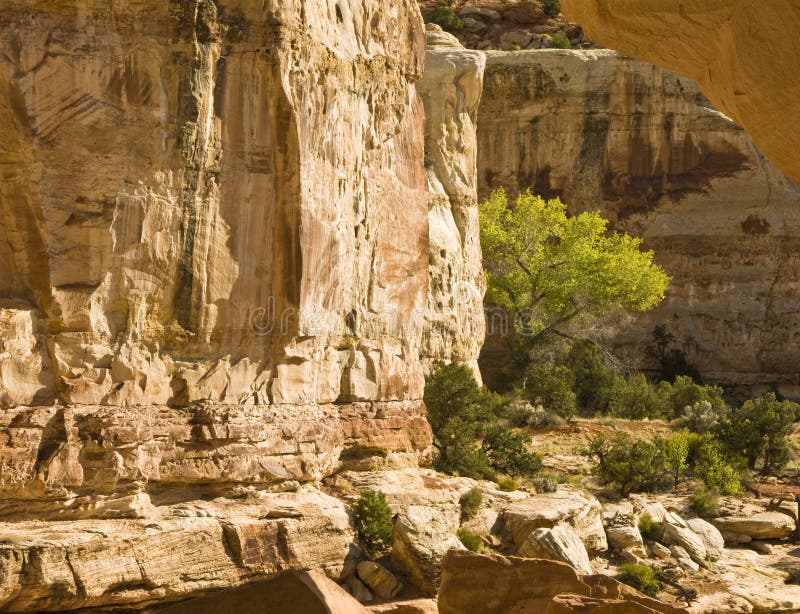 Along Hichman Bridge trail stock image. Image of walls - 7642057