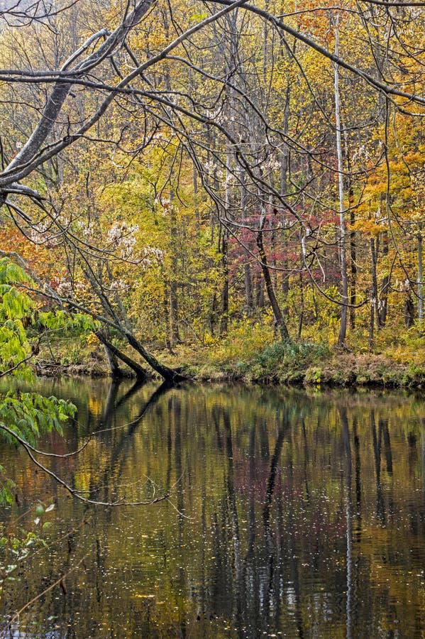 Water Reflections Show Along a River in the Smokies. Stock Photo ...